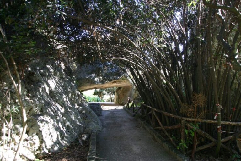 Syracuse: Neapolis Archaeological Park Small Group Tour - A Detailed Breakdown of the Itinerary