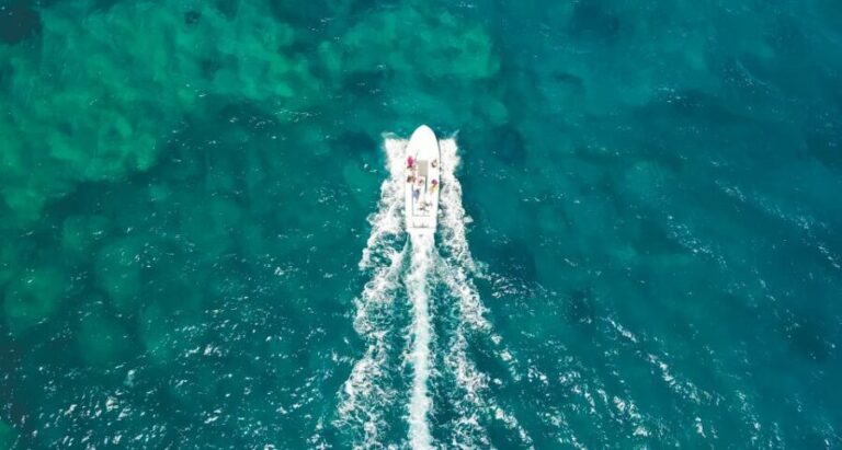 Syracuse: Pillirina, Ortigia, and Sea Caves Tour by Boat - Who Should Book This Tour?