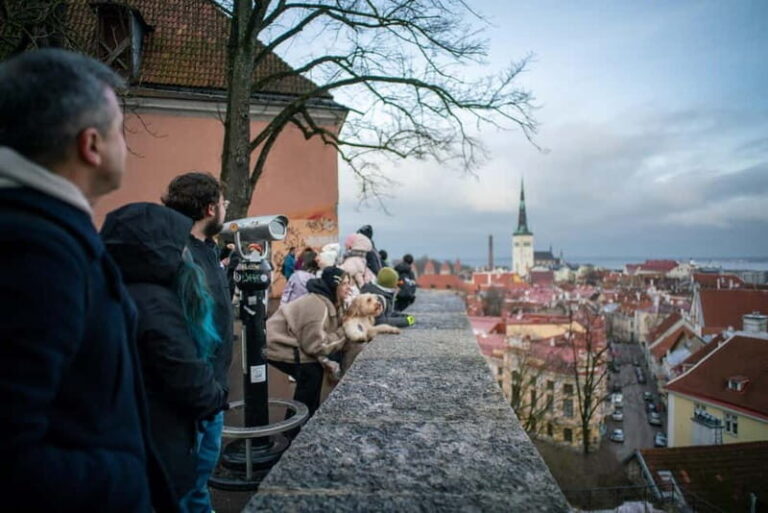 Tallinn: 1.5-Hour Old Town Walking Tour - A Deep Dive into the Tallinn Old Town Tour