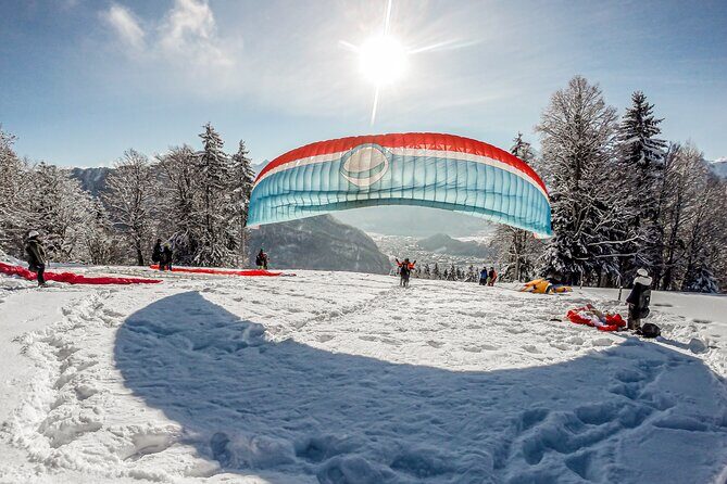 Tandem Paragliding Experience with Transport from Interlaken - Authentic Insights from Reviewers