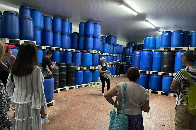 Tavira Olive Experience Factory Tour and Tasting - An In-Depth Look at the Tavira Olive Experience