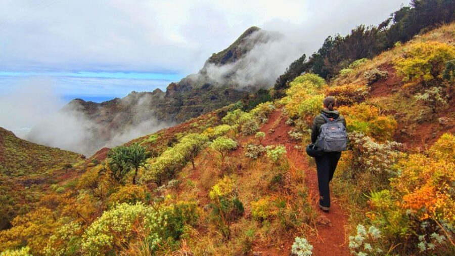 Tenerife: Anaga Mountains & Enchanted Forest Hiking Tour - Who Would Love This Tour?