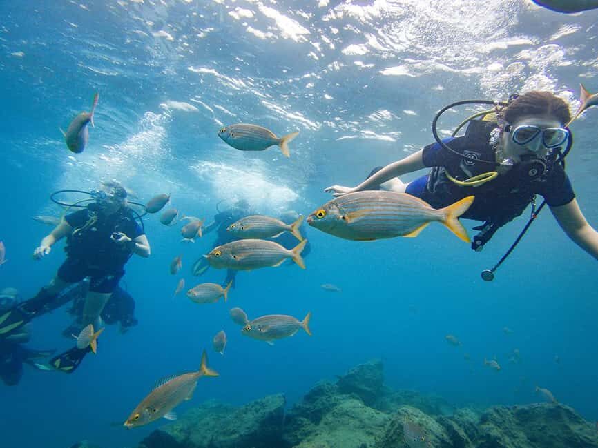 Tenerife: Beginner Scuba Dive Experience - The Itinerary Breakdown