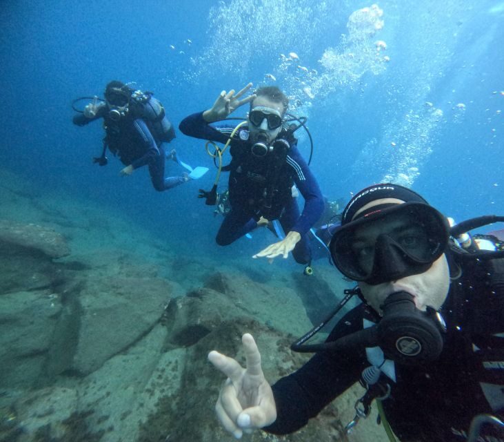 Tenerife: Beginner's Dive at a Spot with Turtle Sightings - The Value of This Experience