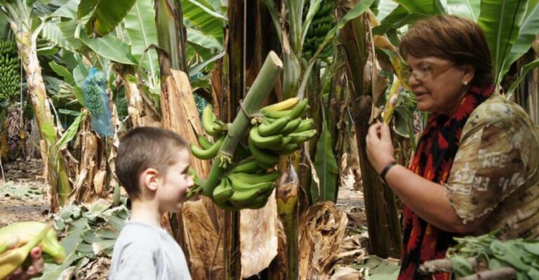 Tenerife: Finca Las Margaritas Banana Plantation Experience - Who Will Love This Experience?