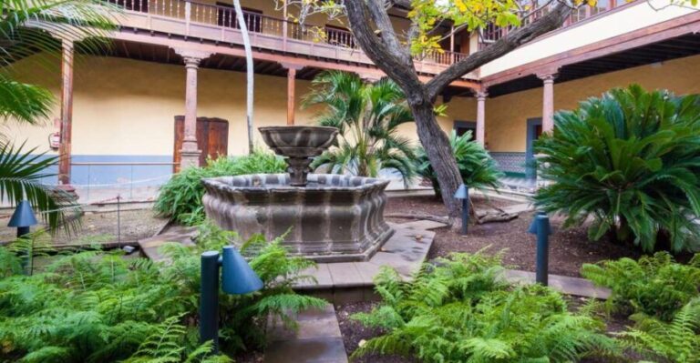 Tenerife: Full-Day Gastronomy and Wine Tour - Who Is This Tour Best For?