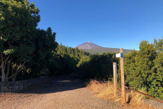 Tenerife Grand Tour: including Teide National Park and Masca - Practical Details: What You Need to Know