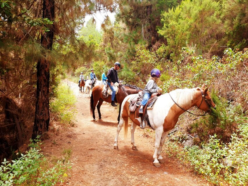 Tenerife: Guided Horseback Riding Tour to the Lomo Forest - Practical Details: What You Need to Know