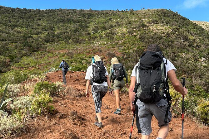 Tenerife: Hiking Tour in Anaga Mountains and Enchanted Forest - What’s the Value?