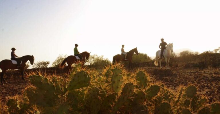 Tenerife: Horseback Ride with Instructor - Why It’s a Great Choice