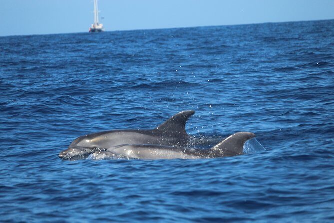 Tenerife : Jet Ski Tour with option for Quad Trip - FAQs