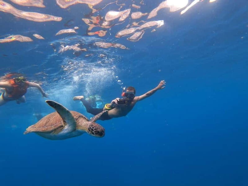 Tenerife: Kayak Sea Safari with Snorkel and Snacks - What Makes This Tour Stand Out