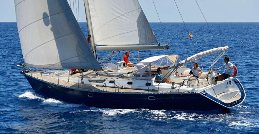 Tenerife: Sailing Excursion with Whale and Dolphin Watching - Who Will Love This Experience?
