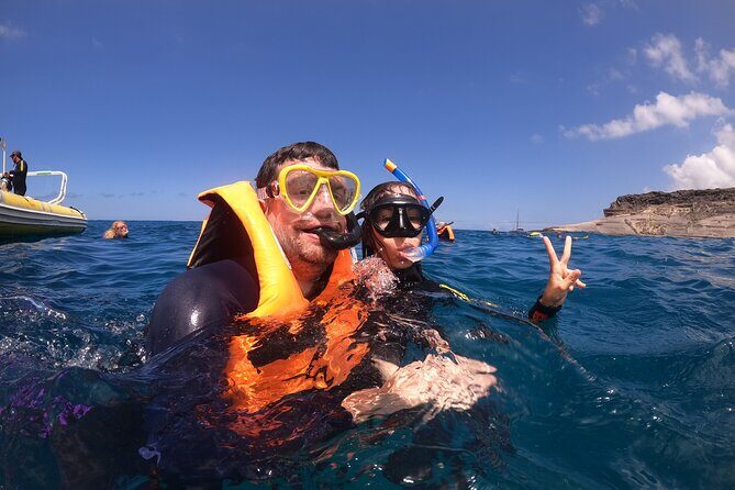 Tenerife Snorkeling Tour in turtle habitat - The Experience and Its Authenticity