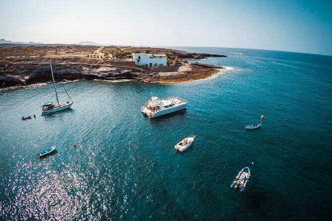 Tenerife Sunset Catamaran tour with transfer - Food and Drinks included. - The Sum Up