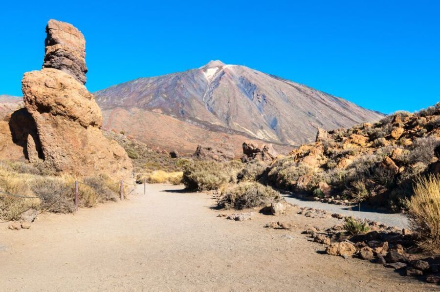 Tenerife: Teide and Las Cañadas Half-Day Tour - Who Should Consider This Tour?