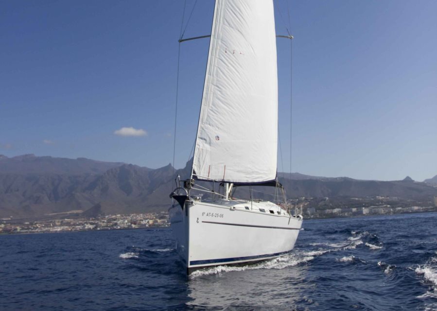 Tenerife: Whale and Dolphin Watching Tour by Sailboat - The Itinerary in Detail