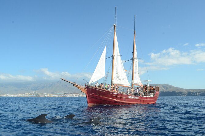 Tenerife: Whale and Dolphin Watching with a Plunge - What Makes This Tour Stand Out?