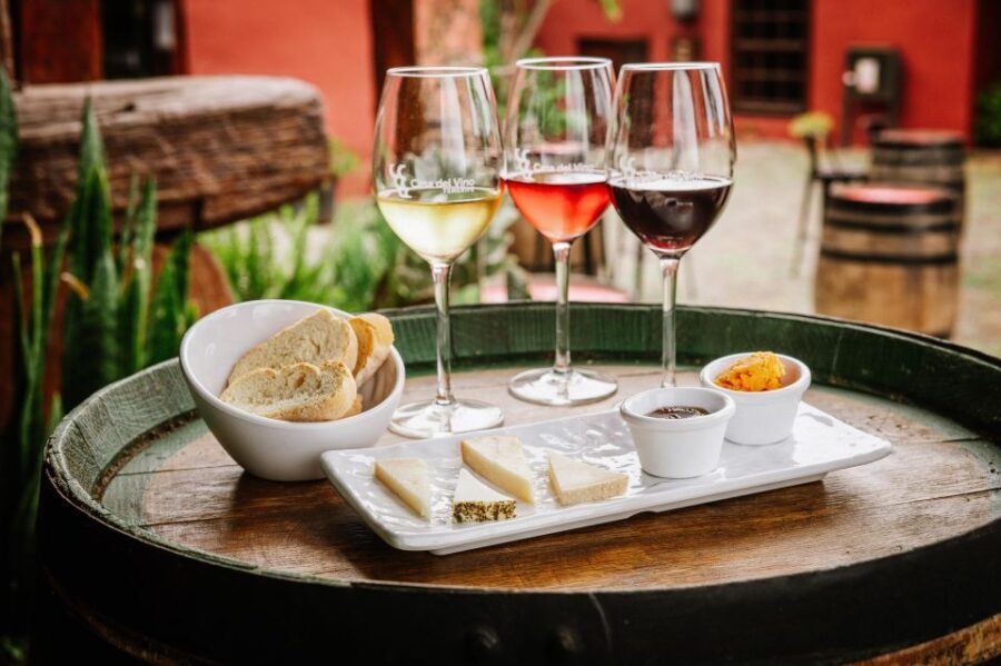 Tenerife: Wine Museum Ticket with Local Wines & Food Tasting - Why You Should Consider This Tour