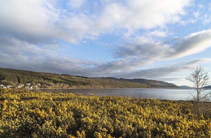 The Complete Loch Ness Experience Small-Group Day Tour from Inverness - The Downsides and Considerations