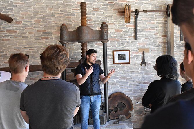 The Governor's Olive Mill Tour with Olive Oil Tasting - Who Would Love This Experience?