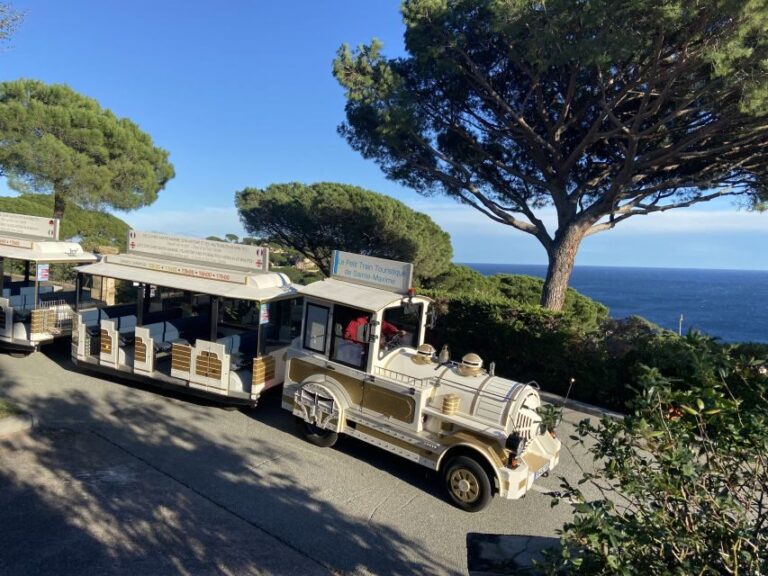 The Little Train of Sainte-Maxime - What’s Not Included—and How to Maximize Your Visit