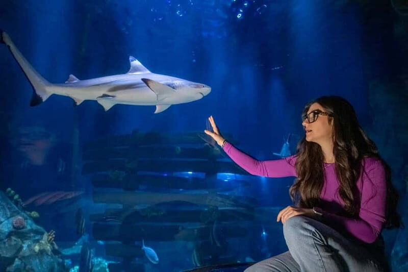 Ticket to SEA LIFE Konstanz - Who Should Consider Visiting?