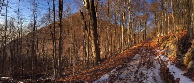 Tirana: Dajti Mountain Half-Day Trip with Cable Car Ticket - Why This Tour Works Well