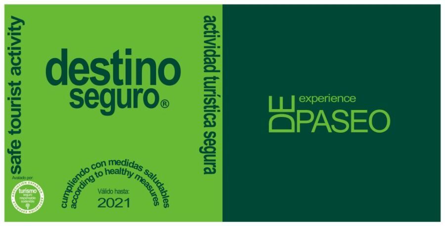 Toledo: Guided Monument Walking Tour with Wristband Pass - Why This Tour Offers Great Value