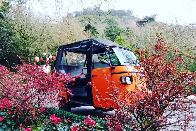 Tour Sintra Palaces & Mountain - Who Should Consider This Tour?