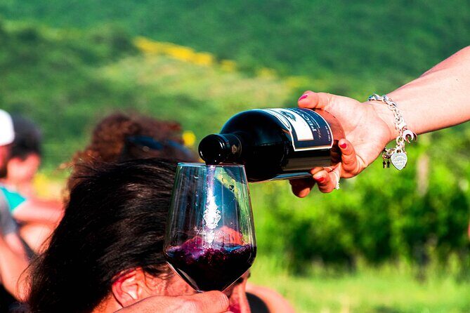 Tour through the vineyards and wine and olive oil tasting in Tuscany - An In-Depth Look at the Vineyard and Tasting Experience