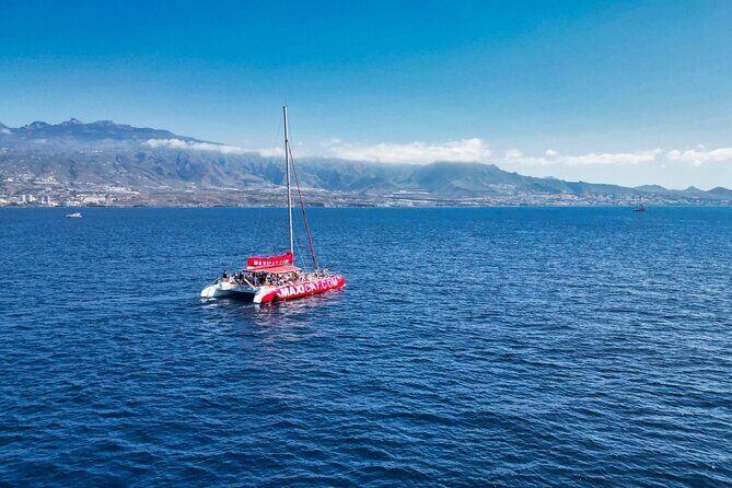 Tour with Whale and Dolphin Watching plus food included - Practical Details and Tips