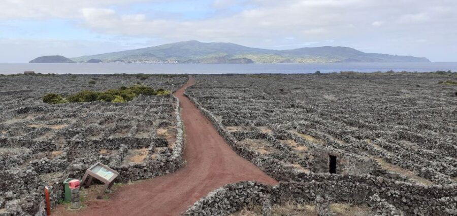 Tours on Pico Island - Cultural and Natural Landscape - The Transport, Duration, and Overall Value
