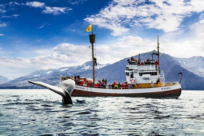 Traditional Oak Ship Whale Watching Tour From Husavik - The Vessel: A Traditional Icelandic Oak Ship