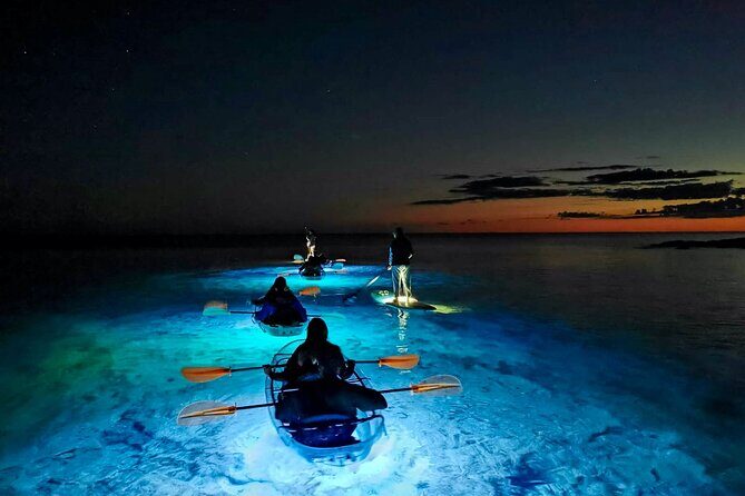 Transparent Kayak Night Glow Experience from Pula - What Is the Tour All About?