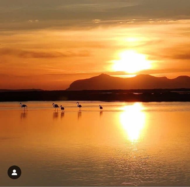 Trapani: Salt Pans Sunset Tour and Flamingo Way - Authentic Experiences Highlighted by Reviewers