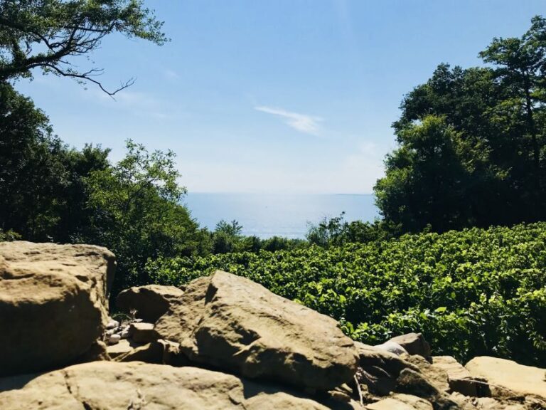 Trieste: 2.5-Hour Prosecco Origins Tour and Tastings - Price & Value Analysis