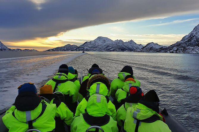 Trollfjord and Sea Eagle Safari Tour from Svolvaer - Who Will Love This Tour?