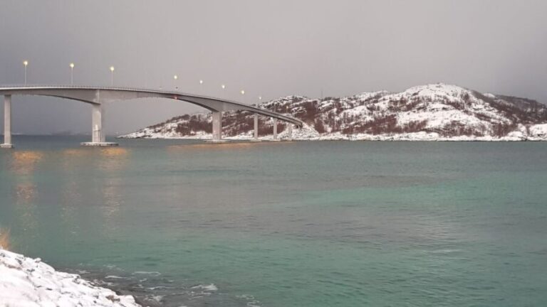 Tromso: All-Inclusive Arctic Fjords and Sommarøy Scenic Tour - Why This Tour Works Well