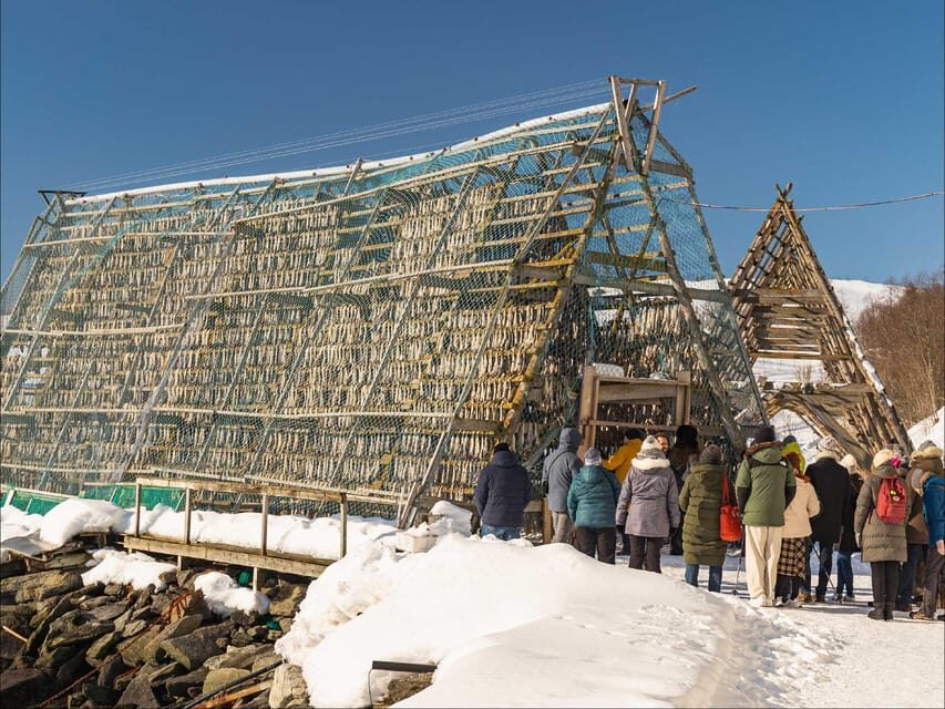 Tromsø: Arctic Fjord Cruise With Stop On Land At Fish Racks - Who Will Love This Tour?