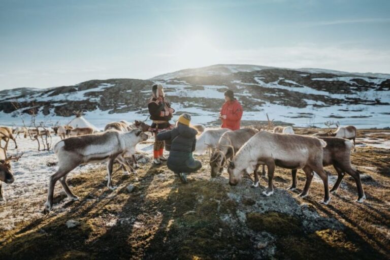 Tromsø: Arctic fjord sightseeing, Reindeer feeding and lunch - In-Depth Breakdown of the Itinerary