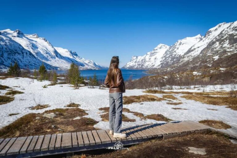 Tromsø: Arctic Fjords Tour to Kvaløya with Panoramic Lunch - The Itinerary in Detail