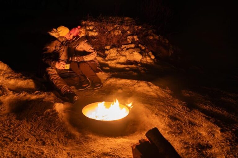 Tromsø: Aurora Tour with Photos, Campfire and Arctic Food - What to Expect