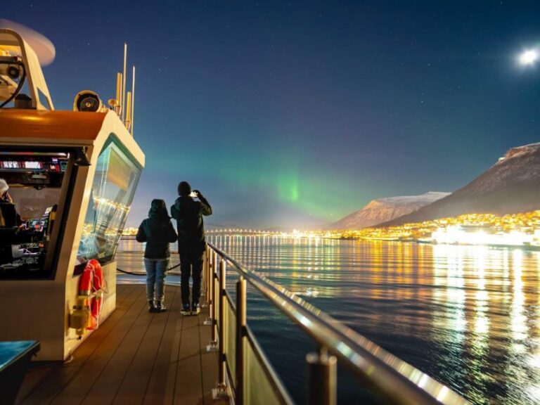 Tromsø: Electric Northern Lights Cruise - The Value of the Tour