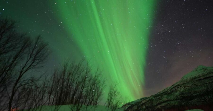 Tromsø: English/Spanish Aurora Pathfinder Tour with Photos - What Makes This Tour Stand Out