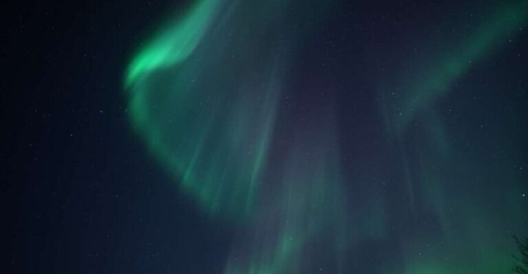 Tromsø: Evening Aurora Cruise (dinner optional) - The Journey on the Boat