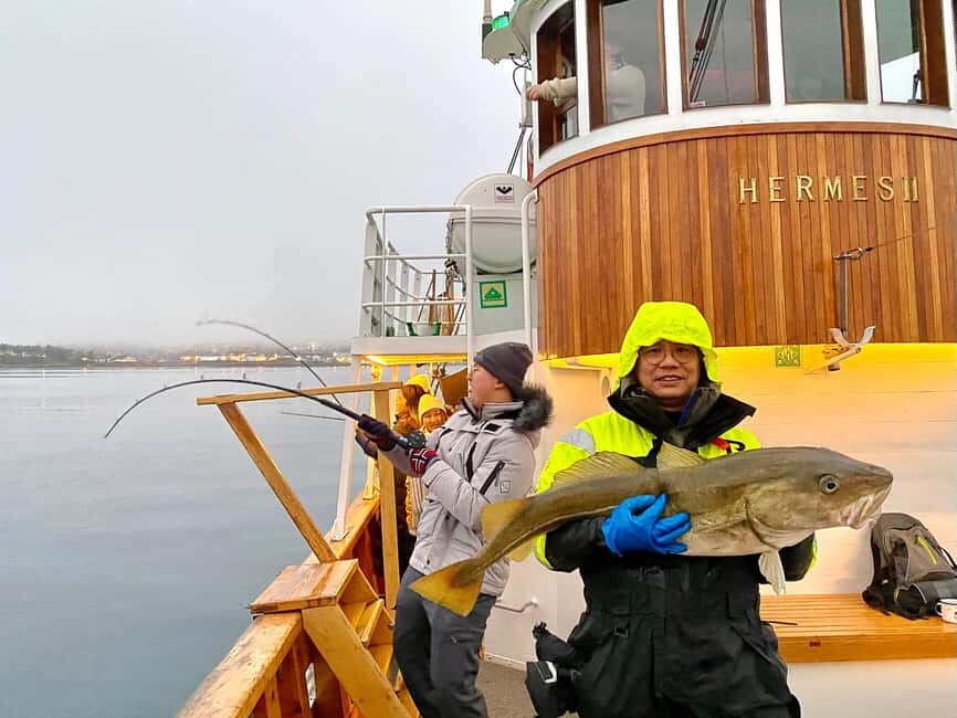 Tromsø: Fishing & Fjord Cruise - The Sum Up