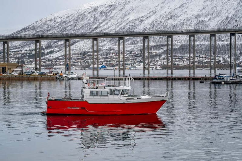 Tromsø: Fishing Sea Safari - Who Is This Tour Best For?