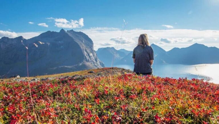 Tromso: Fjord Arctic Adventure Expedition - Comfort and Practicalities