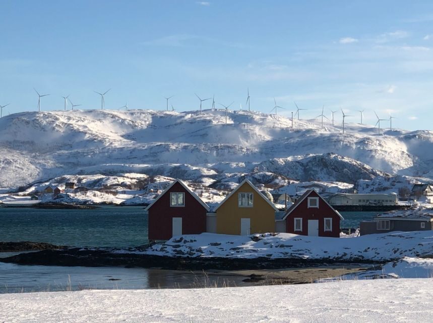 Tromsø: Fjords and Sommarøy Islands Tour with Salmon Picnic - Analyzing the Value